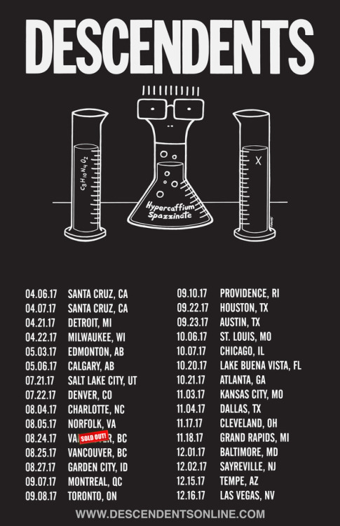 Concierto Descendents - Cartel