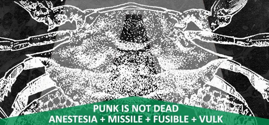 PIND - La scene punk au Pays Basque - 22/05/2021 - Biarritz - Atabal ...