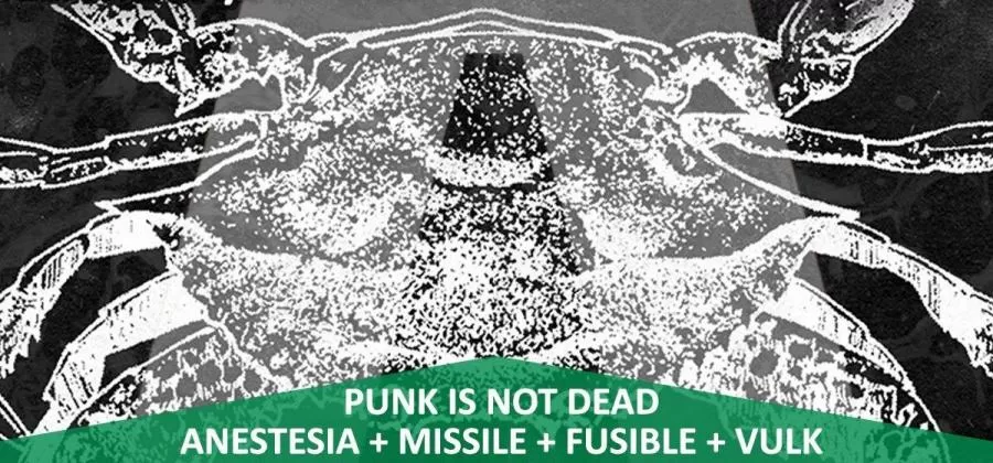 PIND - La scene punk au Pays Basque - 22/05/2021 - Biarritz - Atabal ...