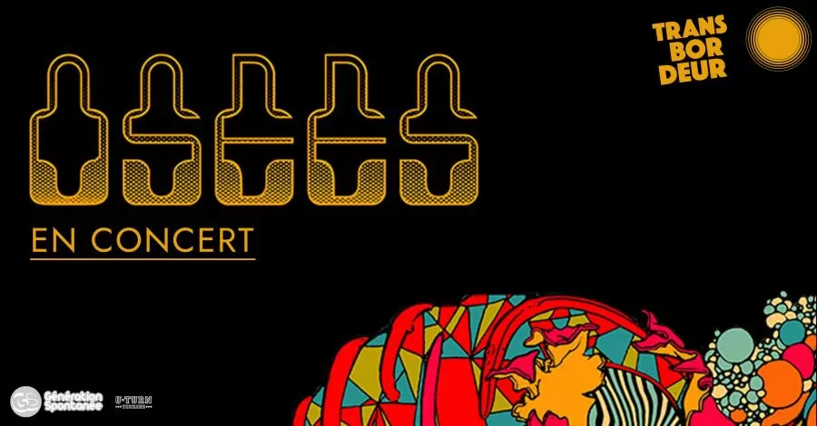 Concert Osees - 03/07/2022 - Villeurbanne - Le Transbordeur - France