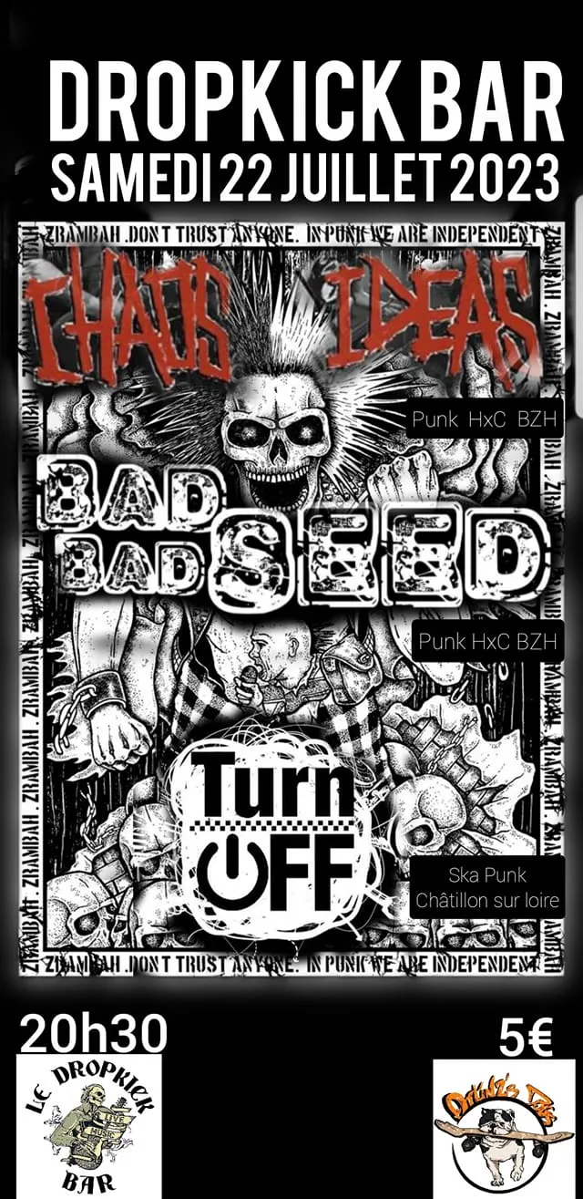 Chaos ideas + Bad Bad Seed + Turn Off - 22/07/2023 - Orléans - Le ...