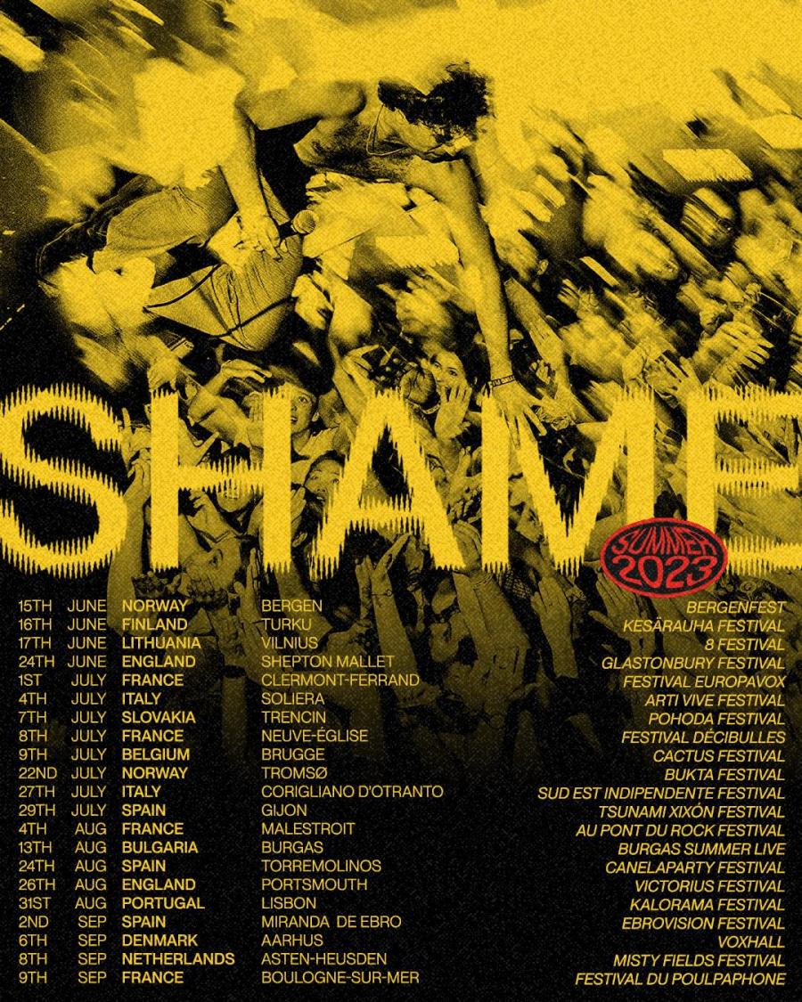 Shame 2022 Poster