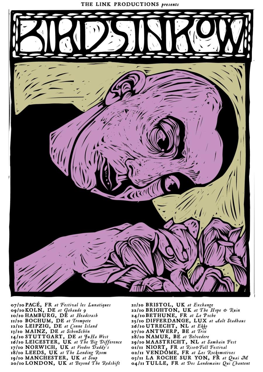 Event Birds In Row - Line up