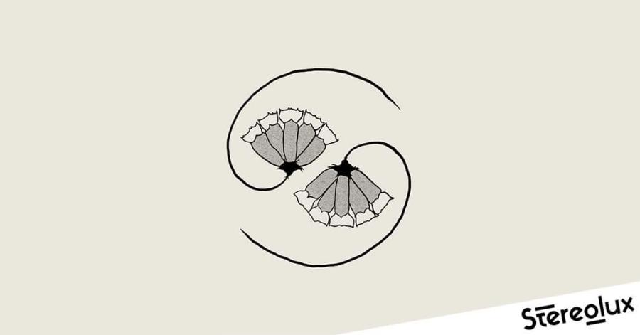 Event Godspeed You! Black Emperor - Line up