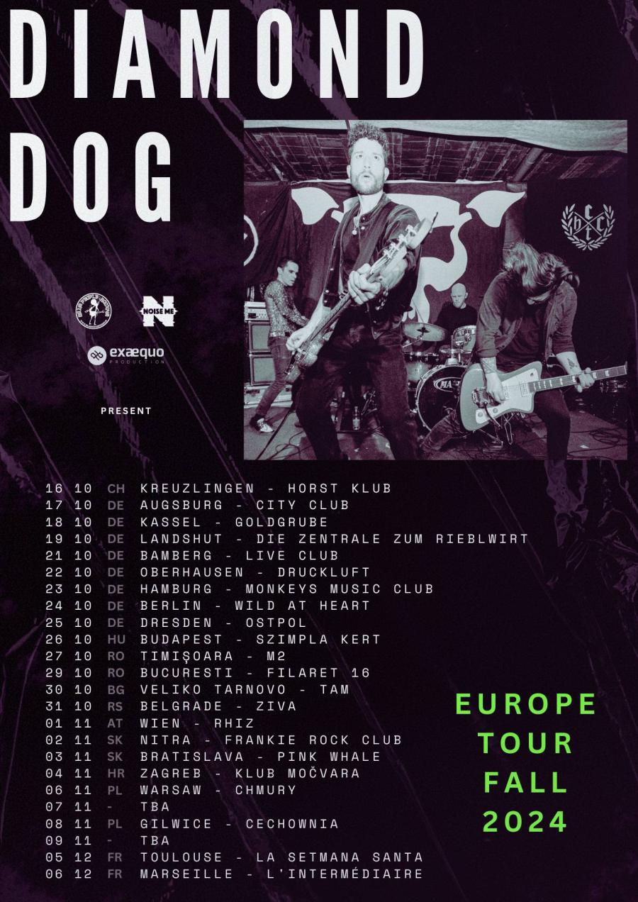 Concert Diamond Dog - Groupes