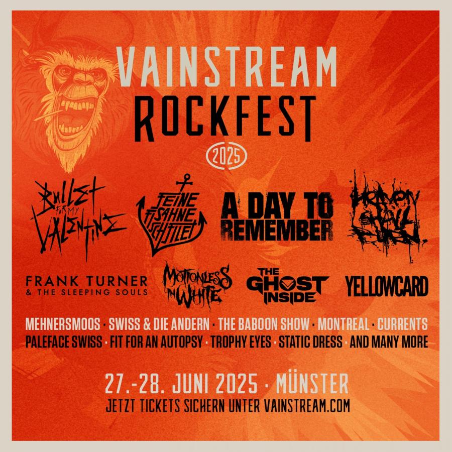Vainstream RockFest 2025 - History