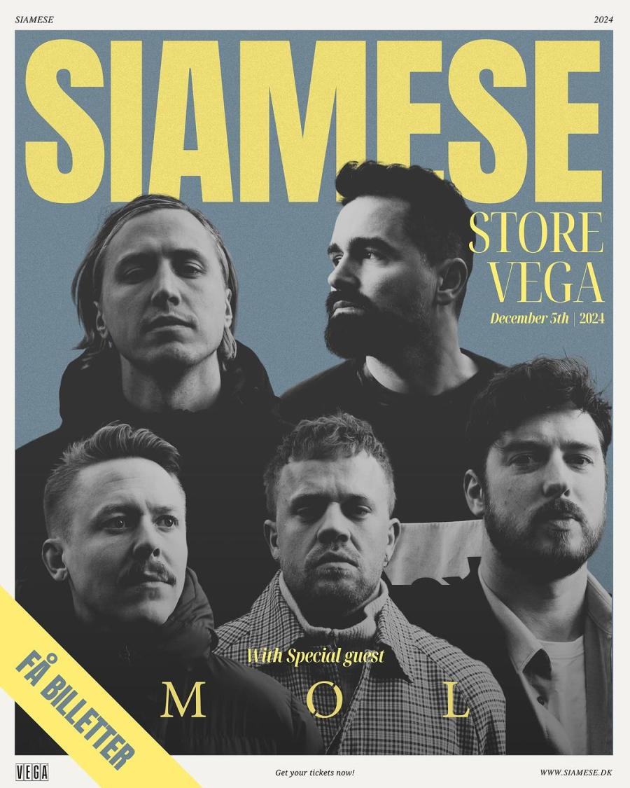 Concierto Siamese - Discussion