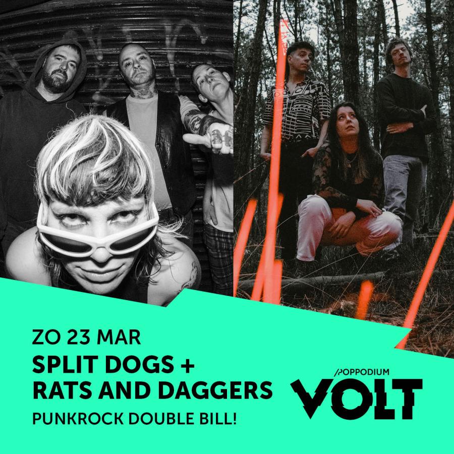 Split Dogs + Rats And Daggers - 23/03/2025 - Sittard - Volt - Netherlands