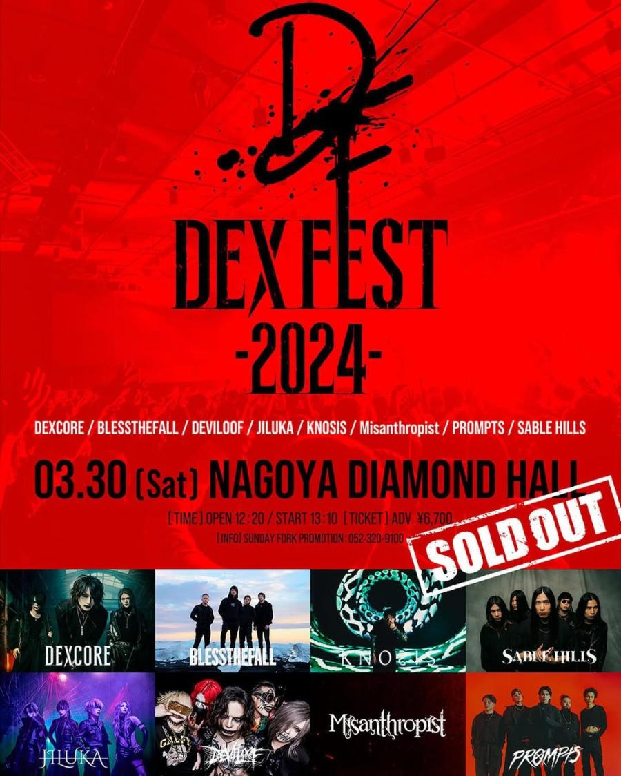 Dex Fest 2024 - Groupes