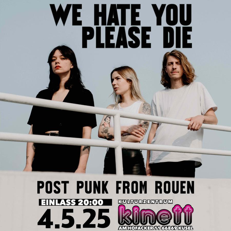 Concert We Hate You Please Die - Groupes