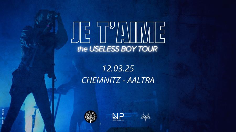 Concert Je T'aime - Discussion